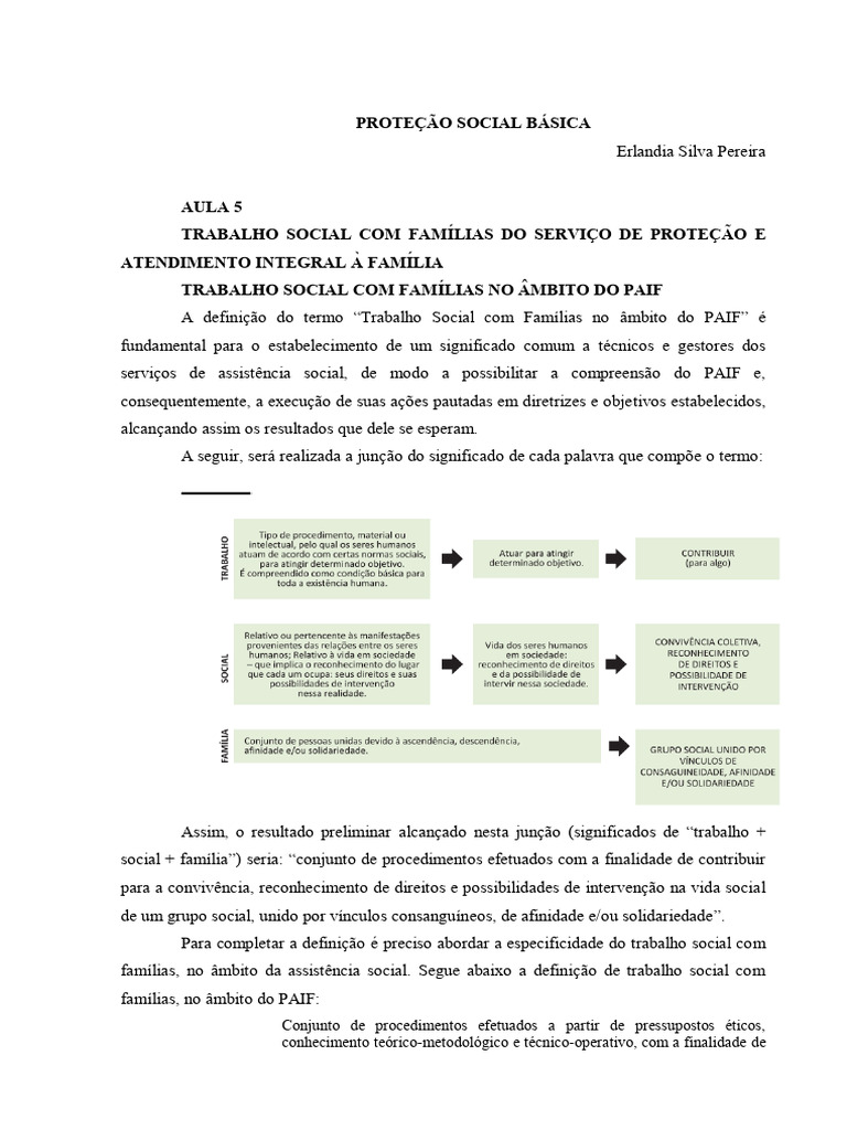 PROTECAO SOCIAL BÁSICA aula 5 (1) | PDF | Família | Sociologia