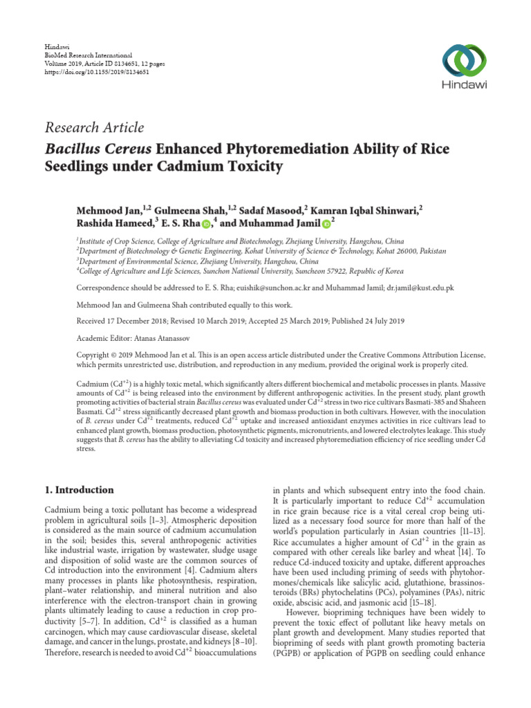 Bacillus Cereus Enhanced Phytoremediation Ability of Rice Seedlings ...