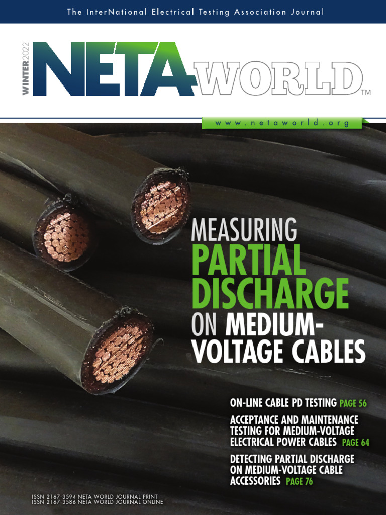 Neta World Wr22 - Final | PDF | Electrical Engineering | Electricity