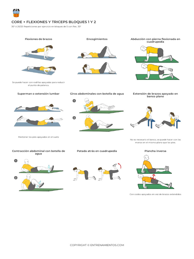 CORE Flexiones y Triceps - Bloques 1 y 2 | PDF | Pelvis | Codo