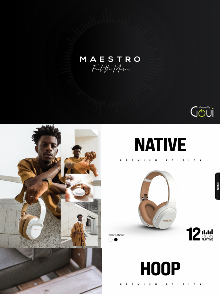 Maestro Catalogue | PDF