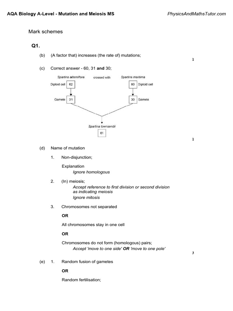 AQA Biology A-Level Mutation & Meiosis | PDF | Meiosis | Ploidy