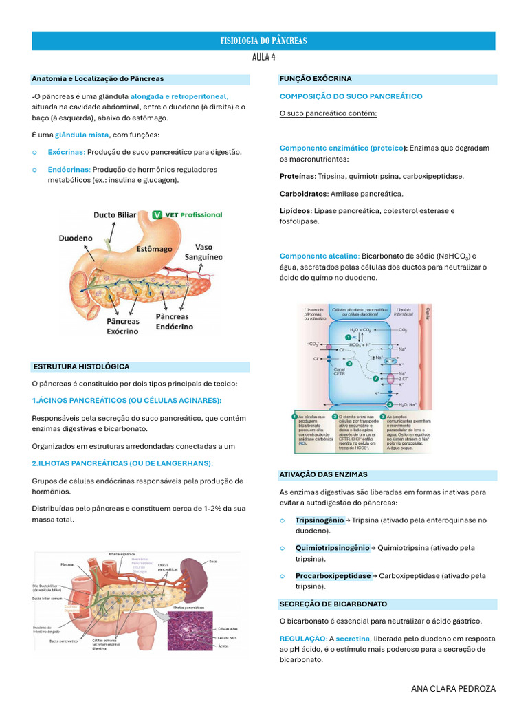 Fisiologia do Pâncreas: Funções e Estruturas | PDF | Pâncreas | Insulina
