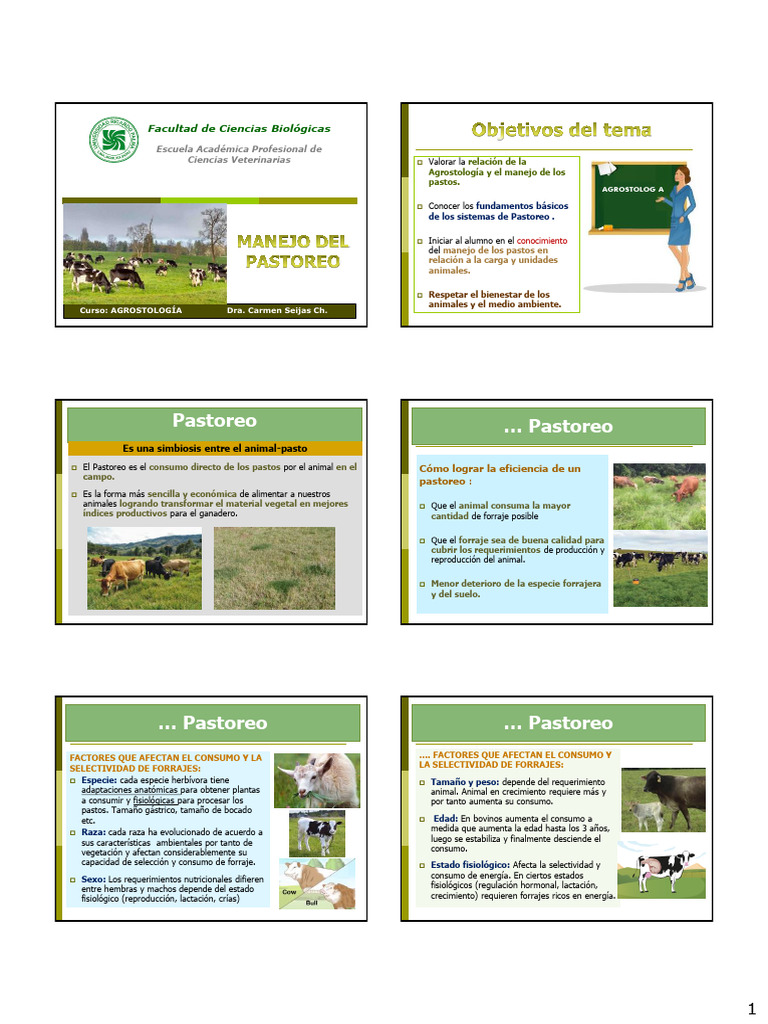 Clase #12 Manejo Del Pastoreo | PDF | Pasto | Pasto