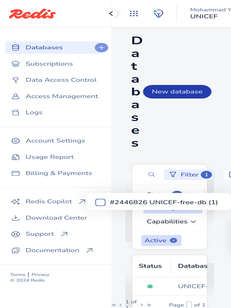 Redis Cloud Console | PDF