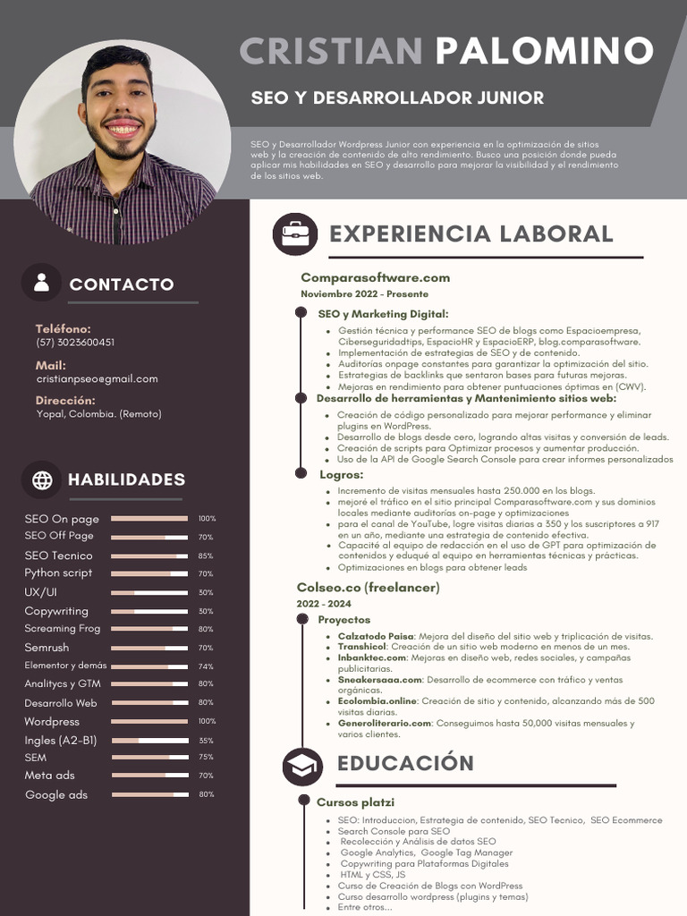 CV Cristian | PDF | Posicionamiento en buscadores | Blog