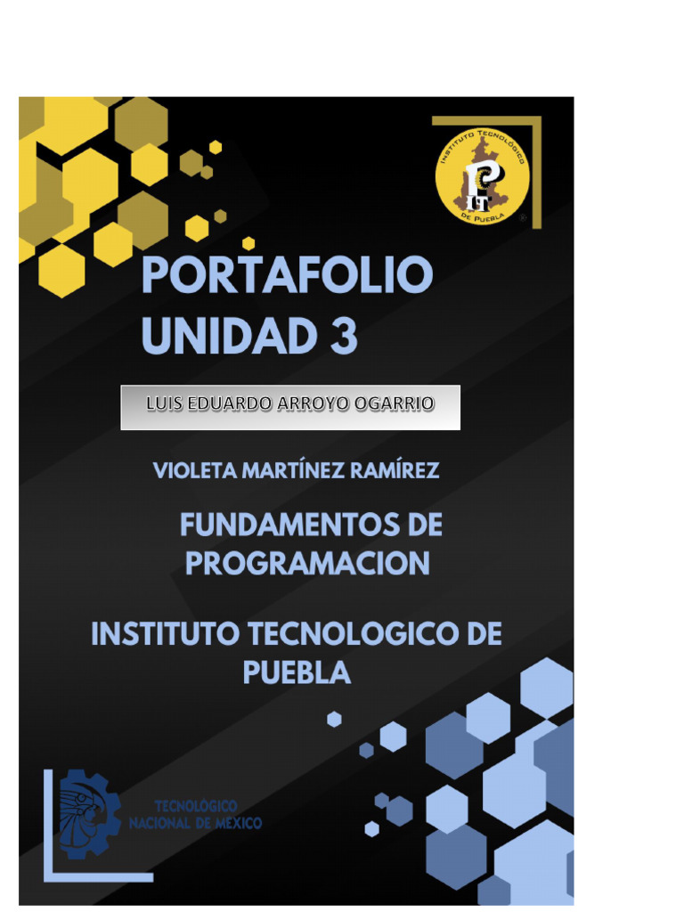 portafolio | PDF | Parámetro (programación de computadora) | Programación de computadoras