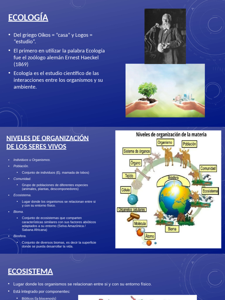 Ecologia - Ecosistemas | PDF | Ecología | Red alimentaria