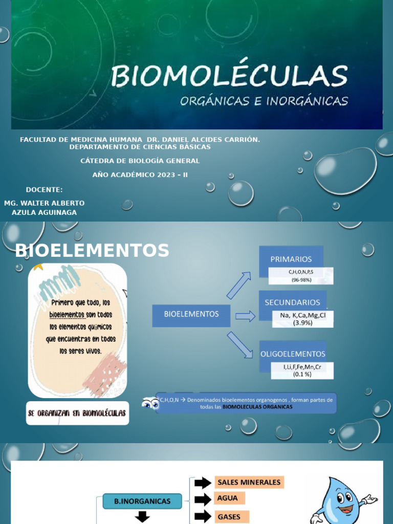 Biologia - Bioelementos Organicos e Inorganicos | PDF