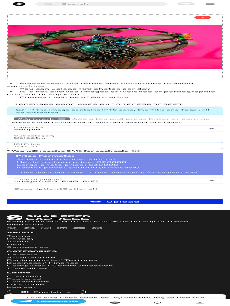 Photo Upload Guidelines | PDF