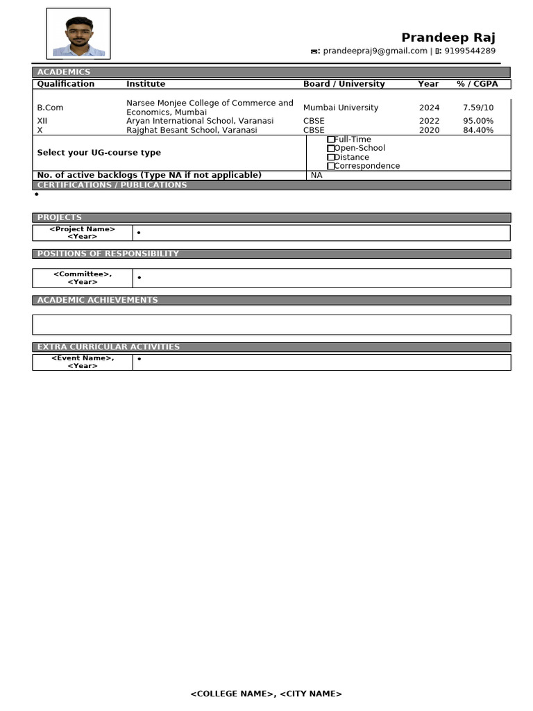 Editable CV Format For Tax Profiles | PDF