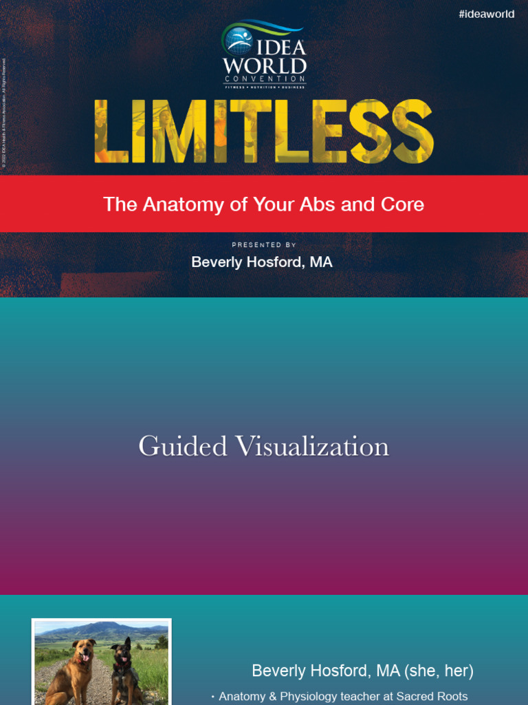 645 - The Anatomy of Your Abs and Core 1 | PDF | Abdomen | Musculoskeletal System