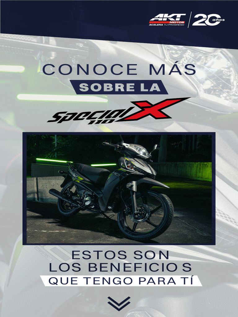 SPECIAL 110 X-compressed | PDF