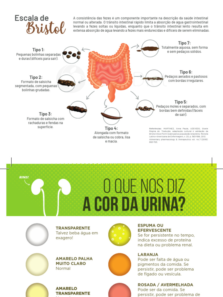 Escala de Bristol (Fezes) e Cor Da Urina | PDF | Rim | Medicina Clínica