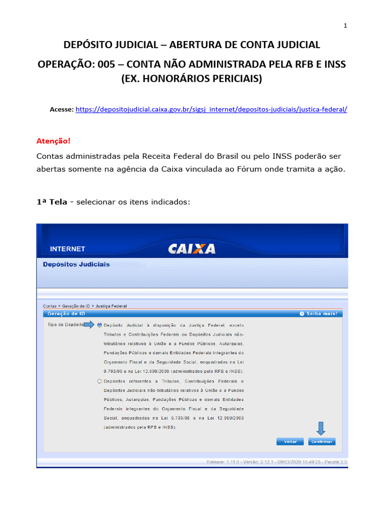 Passo A Passo - Guia de Custas Periciais Justiça Federal | PDF