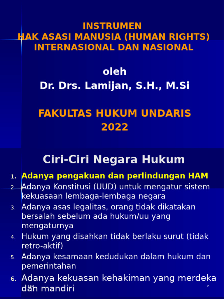 Instrumen HAM Dunia dan Indonesia (PKN) | PDF