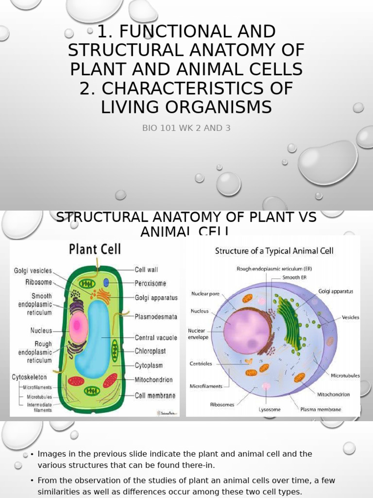 BIO 101 WK 3 Updated | PDF | Cell (Biology) | Cytoplasm