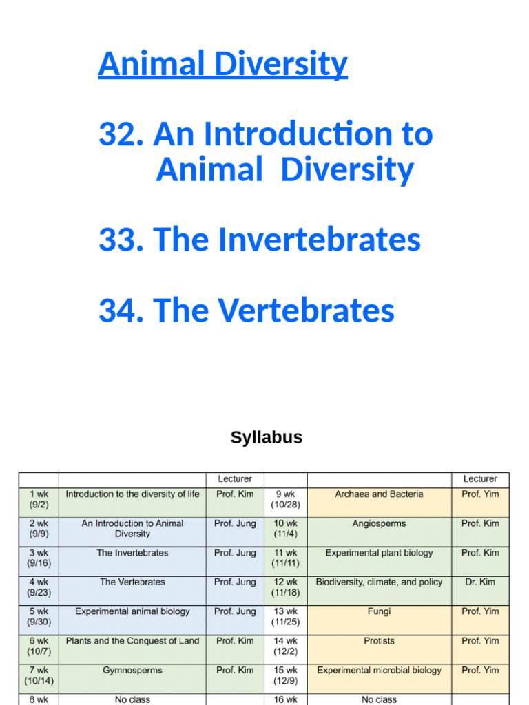 32_Animal_Intro_2024 | PDF | Molecular Phylogenetics | Biology