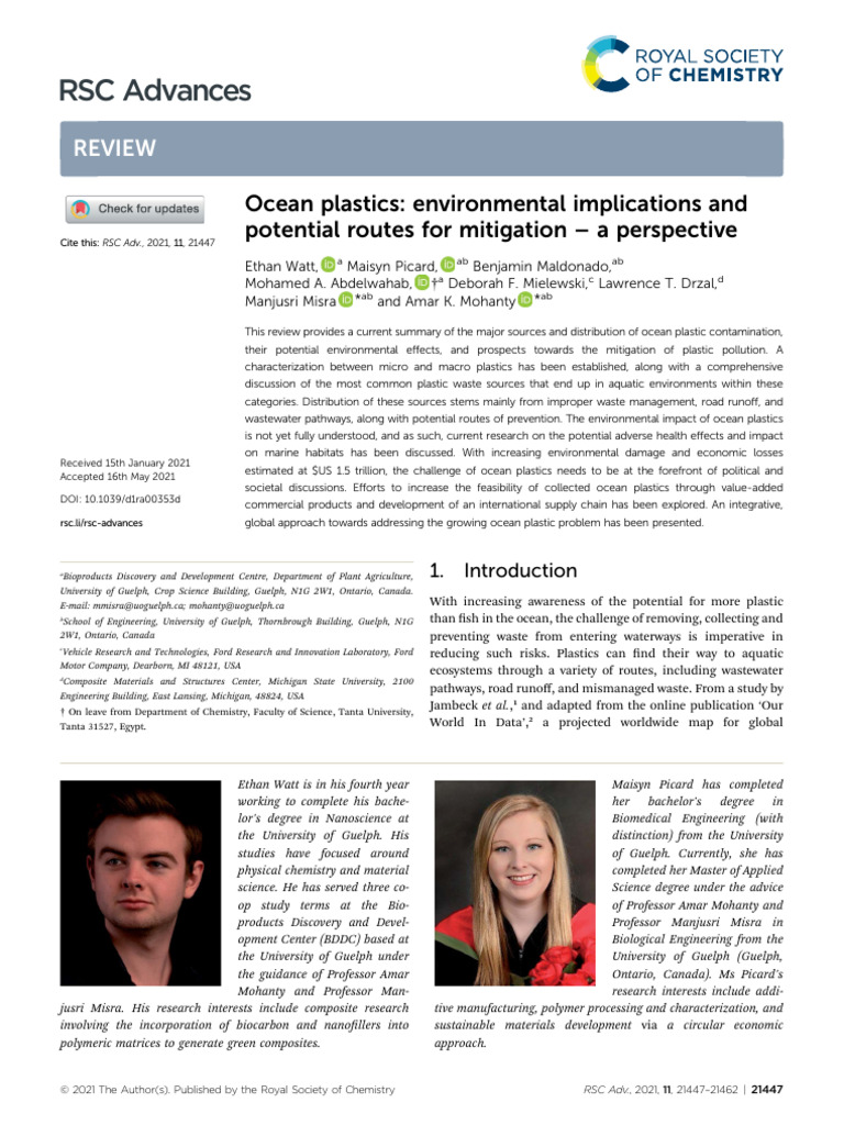 Ocean Plastics Environmental Implications and Pote | PDF | Plastic ...