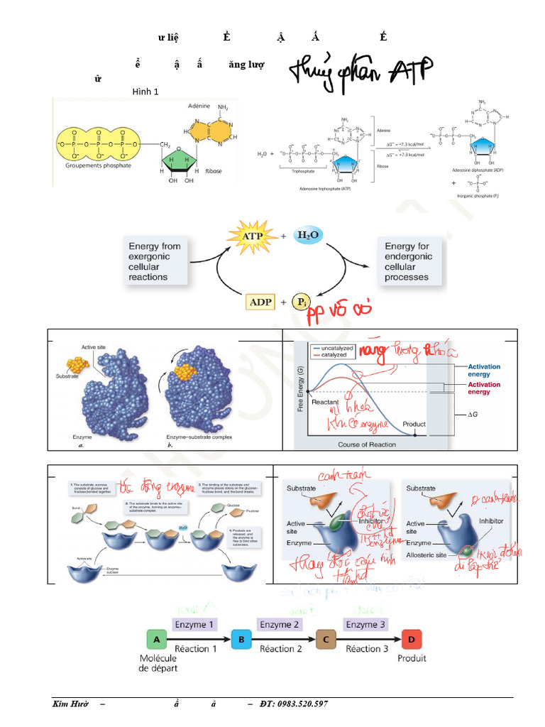 s11-Pht Chuyen Hoa Vat Chat | PDF