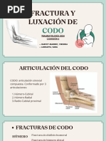 Clasificacion de Gartland 2 | PDF | Sistema musculoesquelético