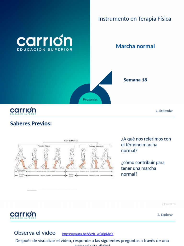 Fases y Evaluación de la Marcha Normal | PDF | Pelvis