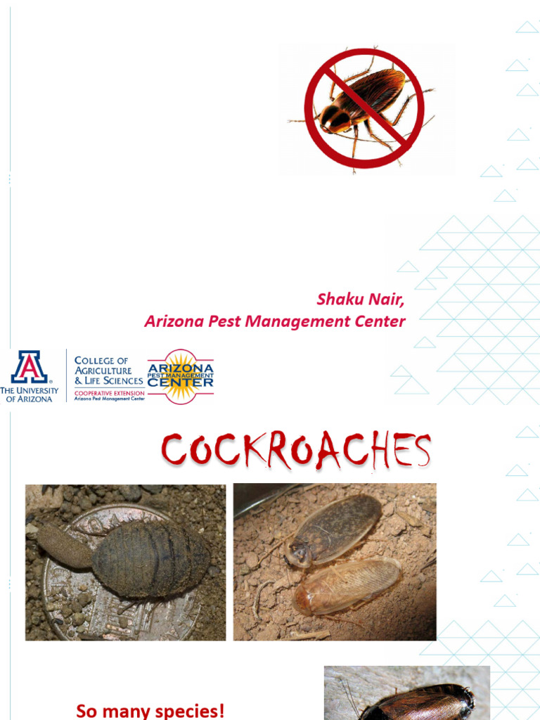 Nair Cockroaches Biology, MGT GRICNov2019 | PDF | Allergen | Allergy