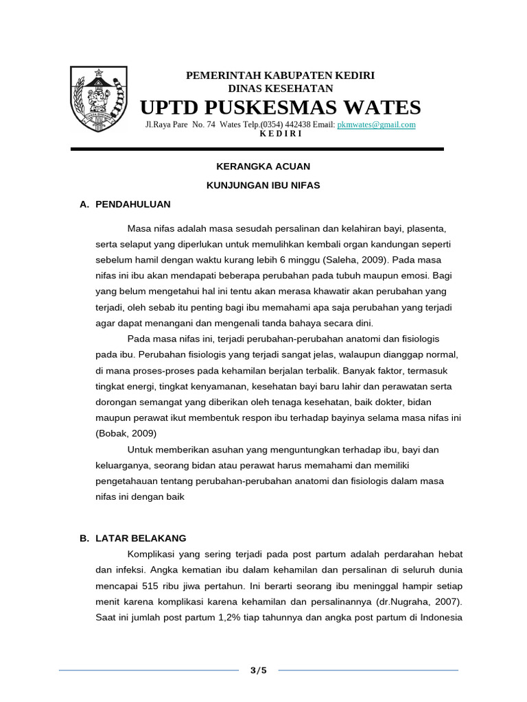 KAK kunjungan rmh bufas 2021 | PDF