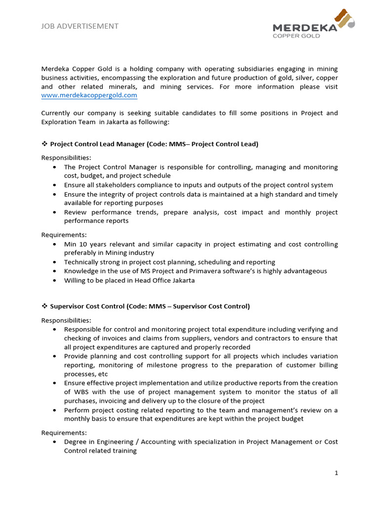 Project adv 210420 | PDF | Mining | Project Management