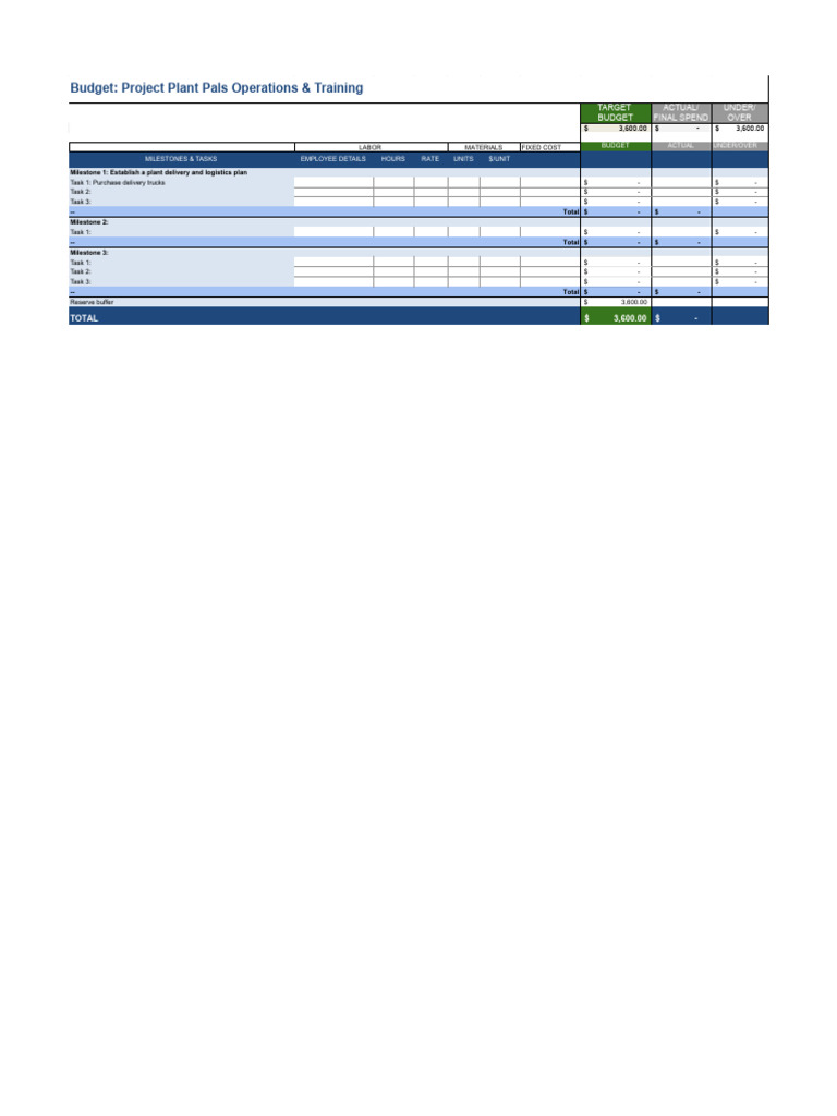 Activity Template - Project Budget | PDF | Economies