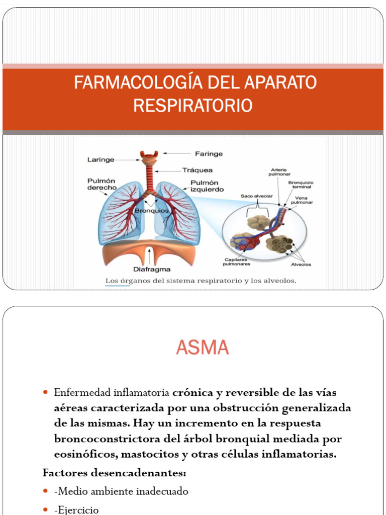 Farmacología del Asma y EPOC | PDF | Asma | Tos
