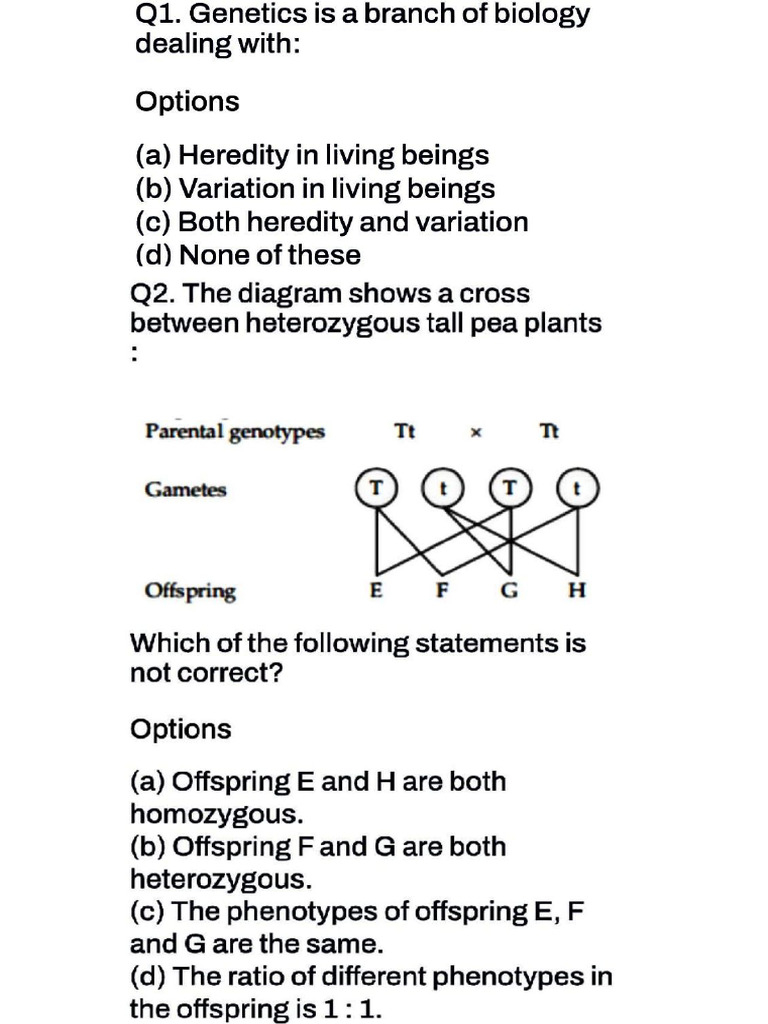 Genetics Notes | PDF