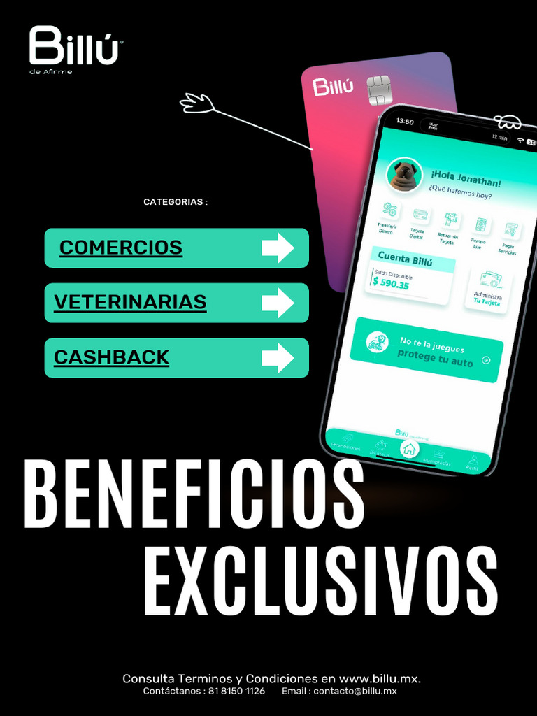 Cuponera Billu | PDF