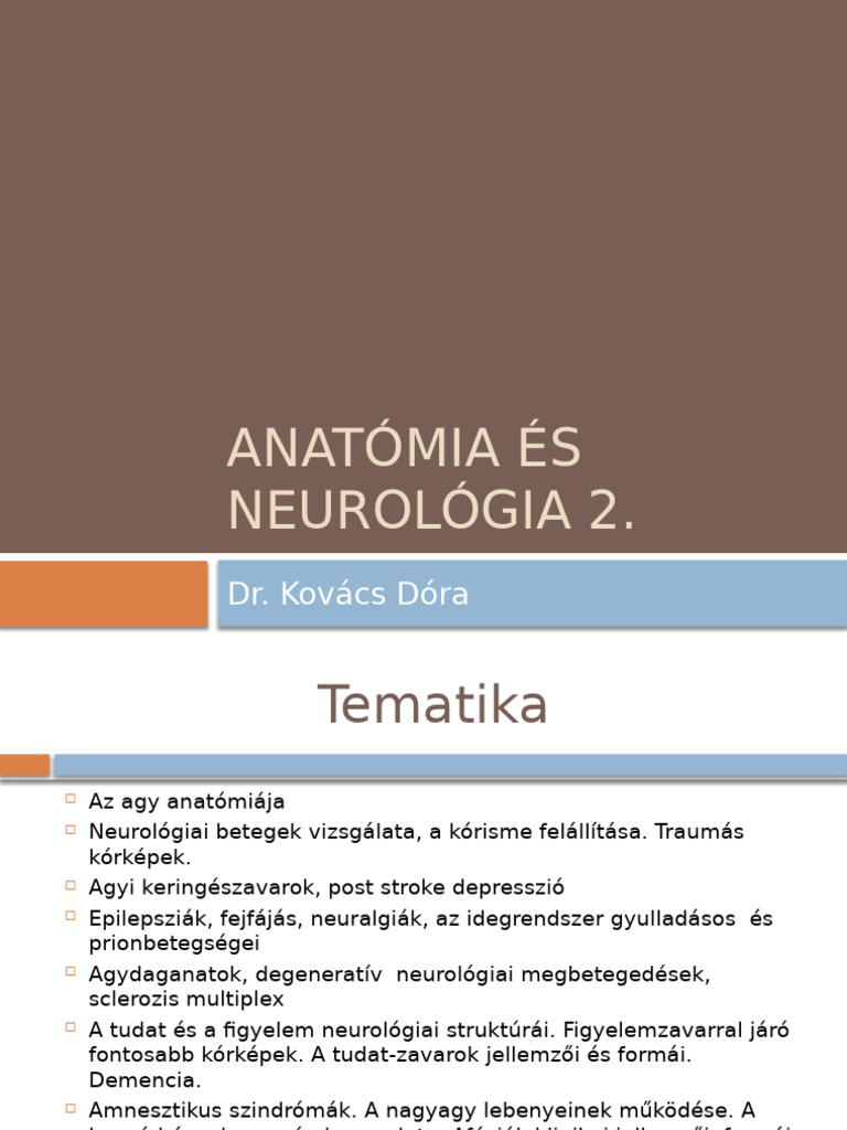 Neuro1 Agy Anat | PDF