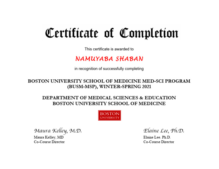 Certificate Shaban, N | PDF