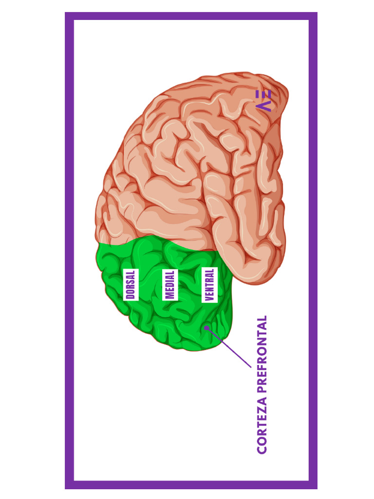 Nuevo Documento PDF-WPS Office | PDF