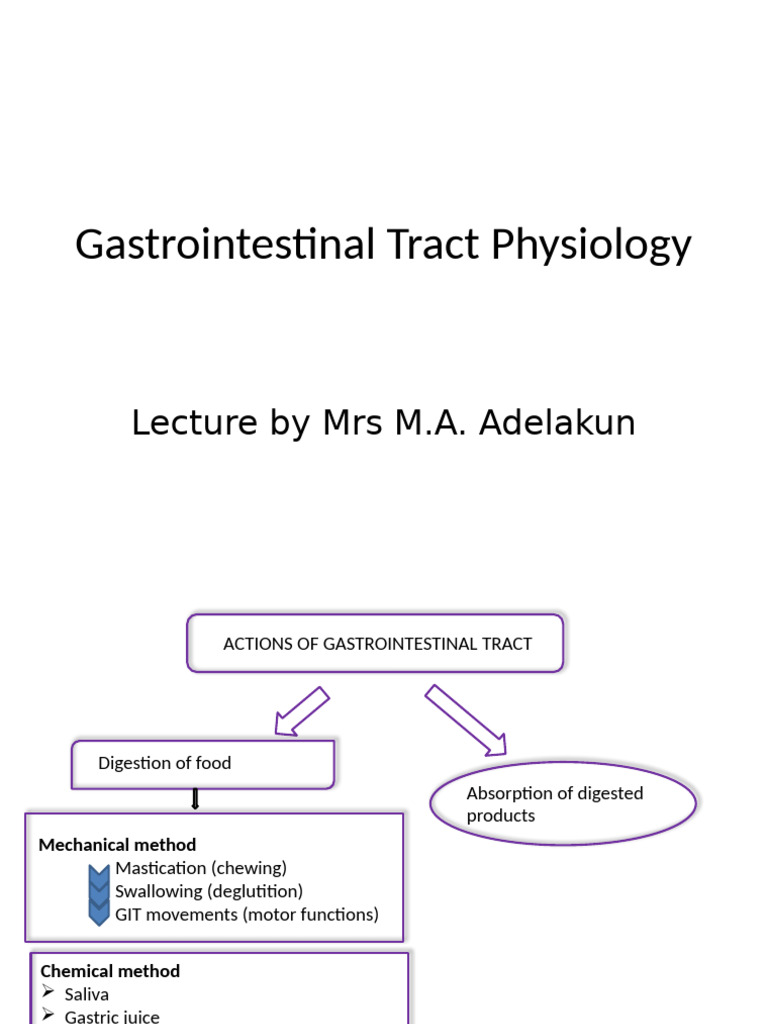 GIT lecture | PDF | Digestion | Esophagus
