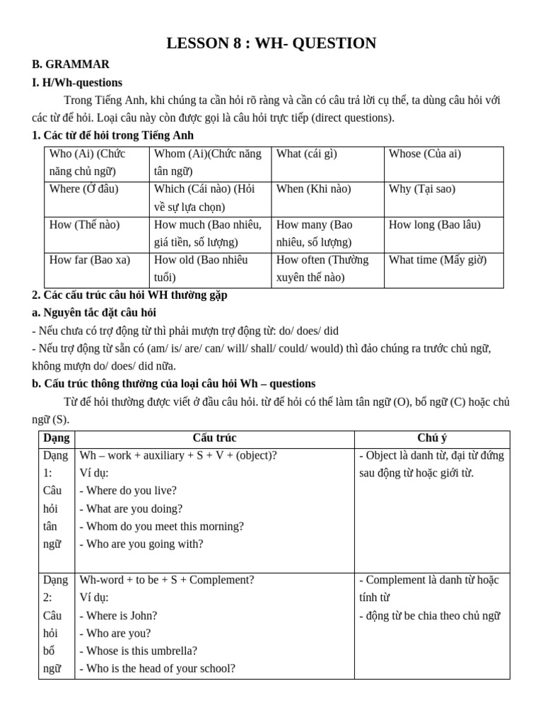 Lesson 8 WH-question | PDF