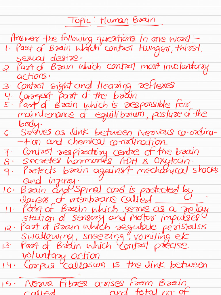 TOPIC BRAIN Practice Questions | PDF