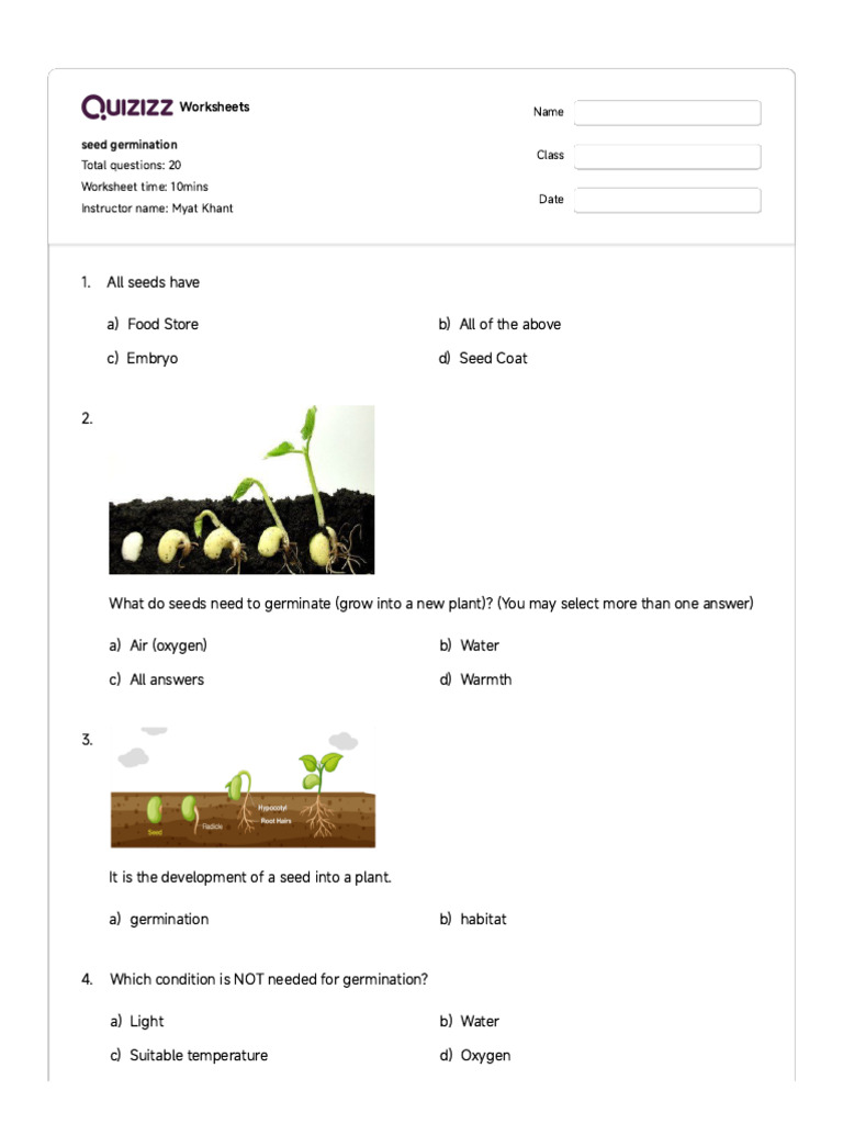 Seed Germination Worksheet for GCSE | PDF | Seed | Germination