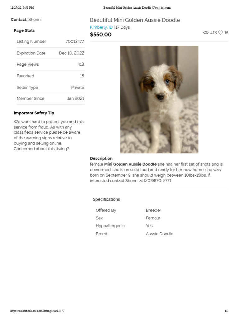 Beautiful Mini Golden Aussie Doodle - Pets | PDF