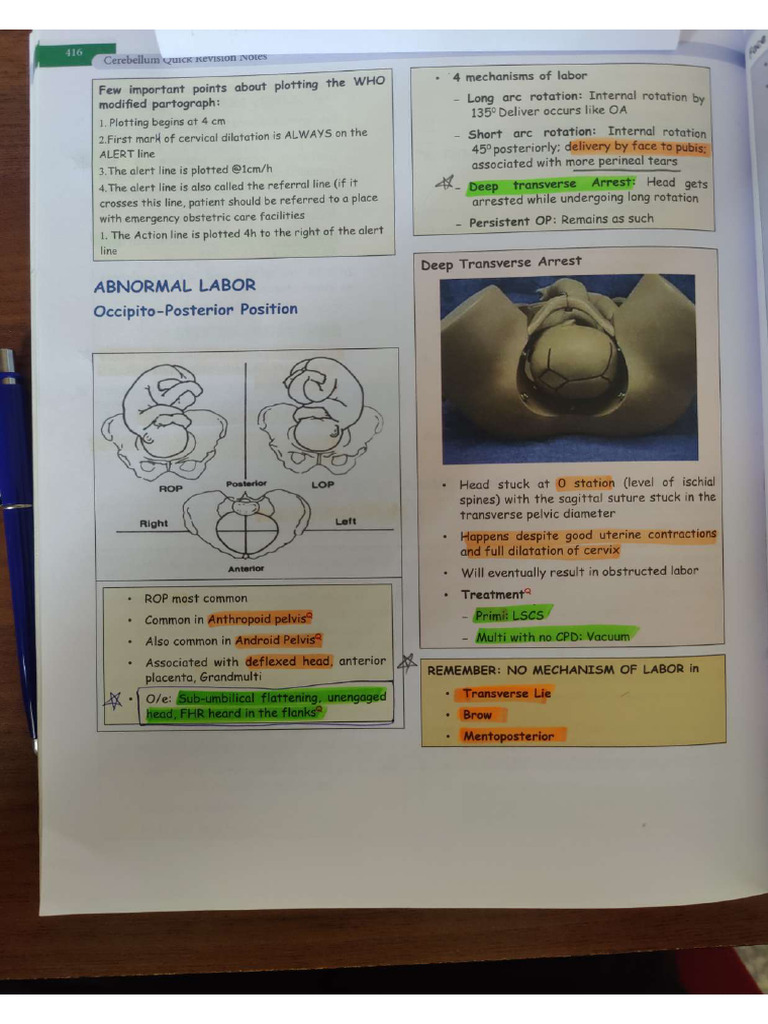 Abnormal Labor Op Position | PDF