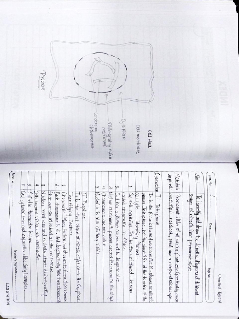 Bio Journal | PDF | Cell Biology | Cell Anatomy