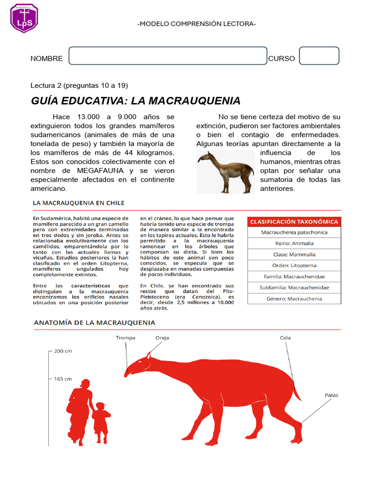 ENSAYO PAES 2 | PDF | Megafauna | Extinción