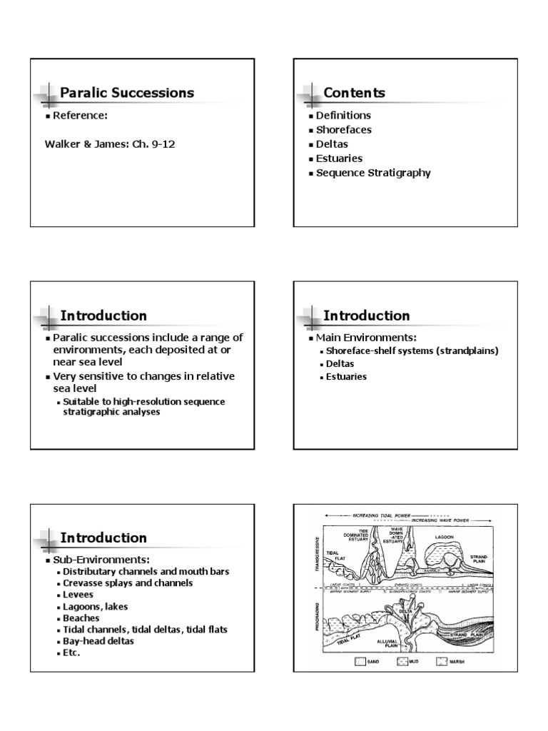 Paralic Successions | PDF | River Delta | Estuary