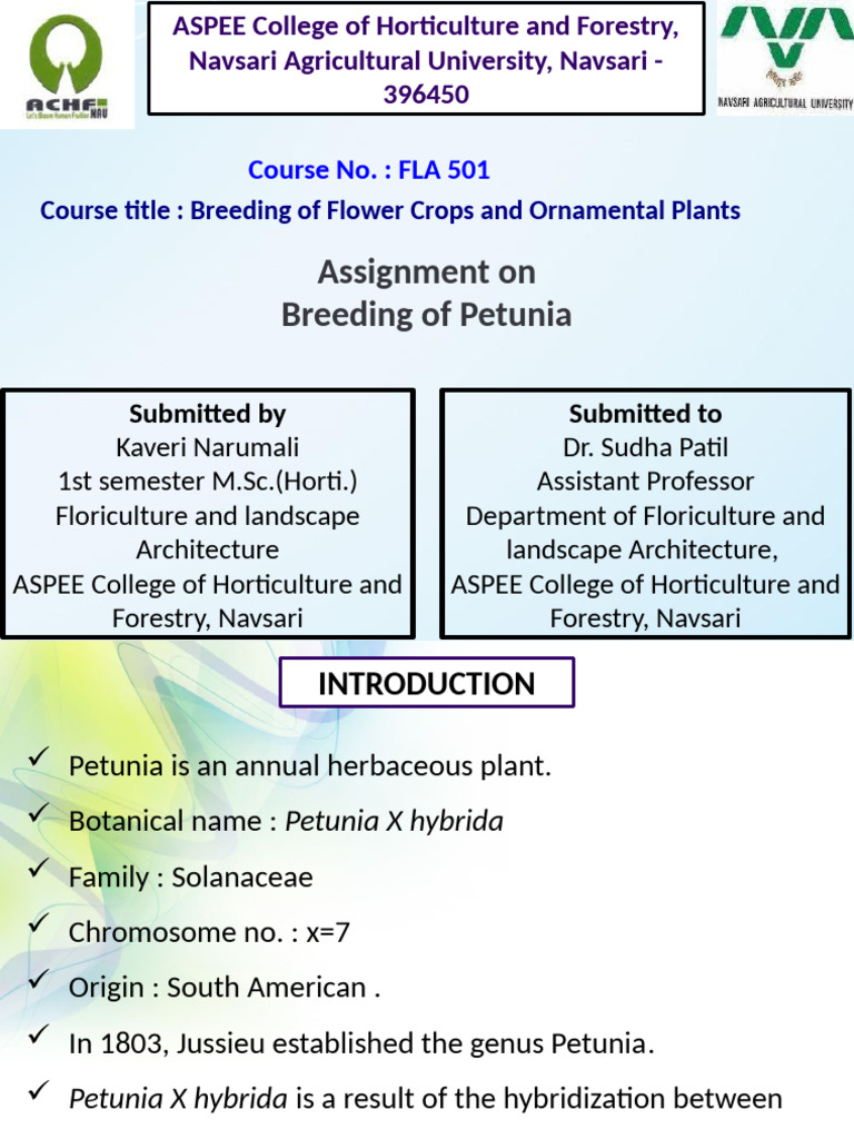 Petunia Breeding and Seed Production | PDF | Flowers | Petal