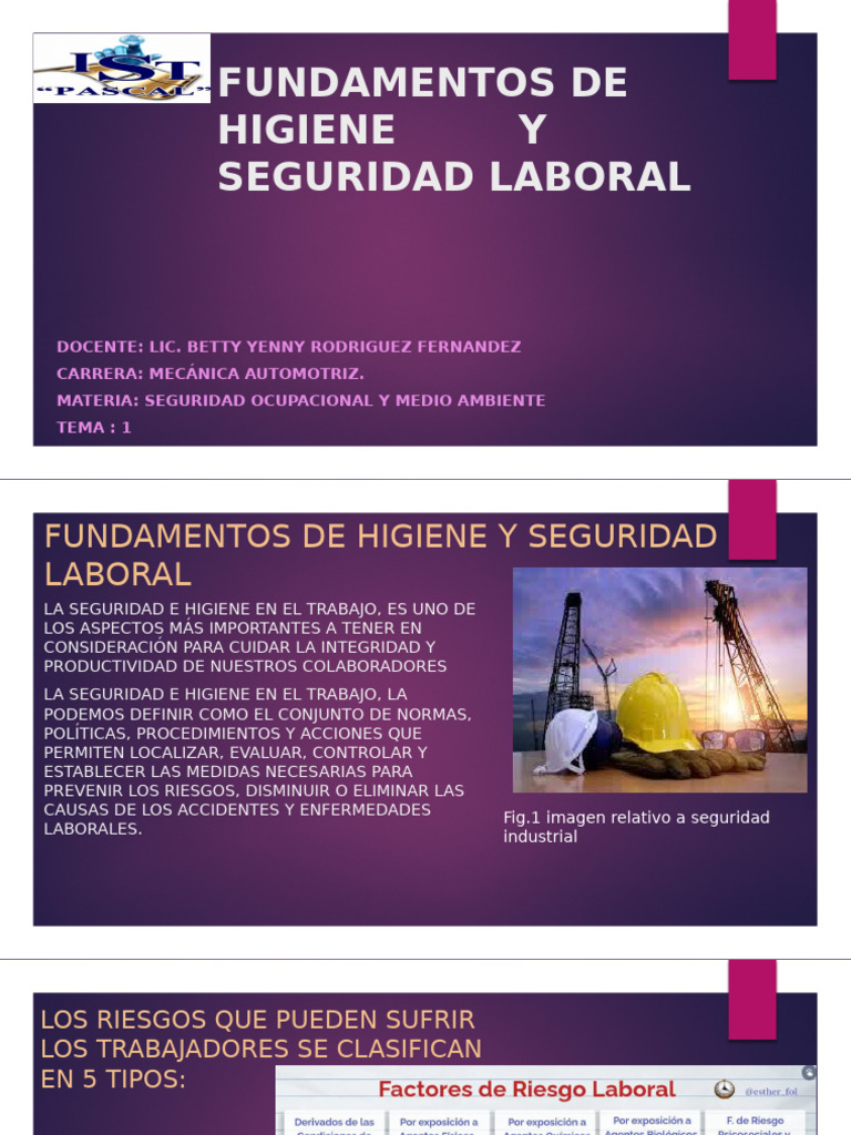 1er FUNDAMENTOS DE HIGIENE Y SEGURIDAD LABORAL | PDF | Seguridad y salud ocupacional