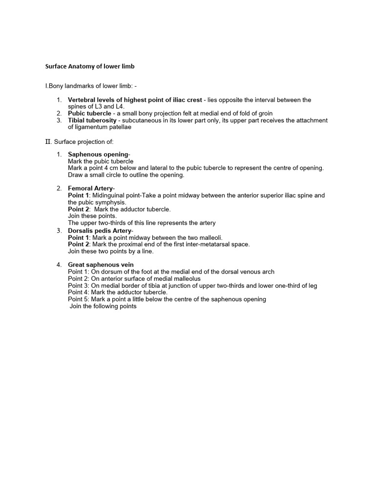 Lower Limb Surface Anatomy | PDF