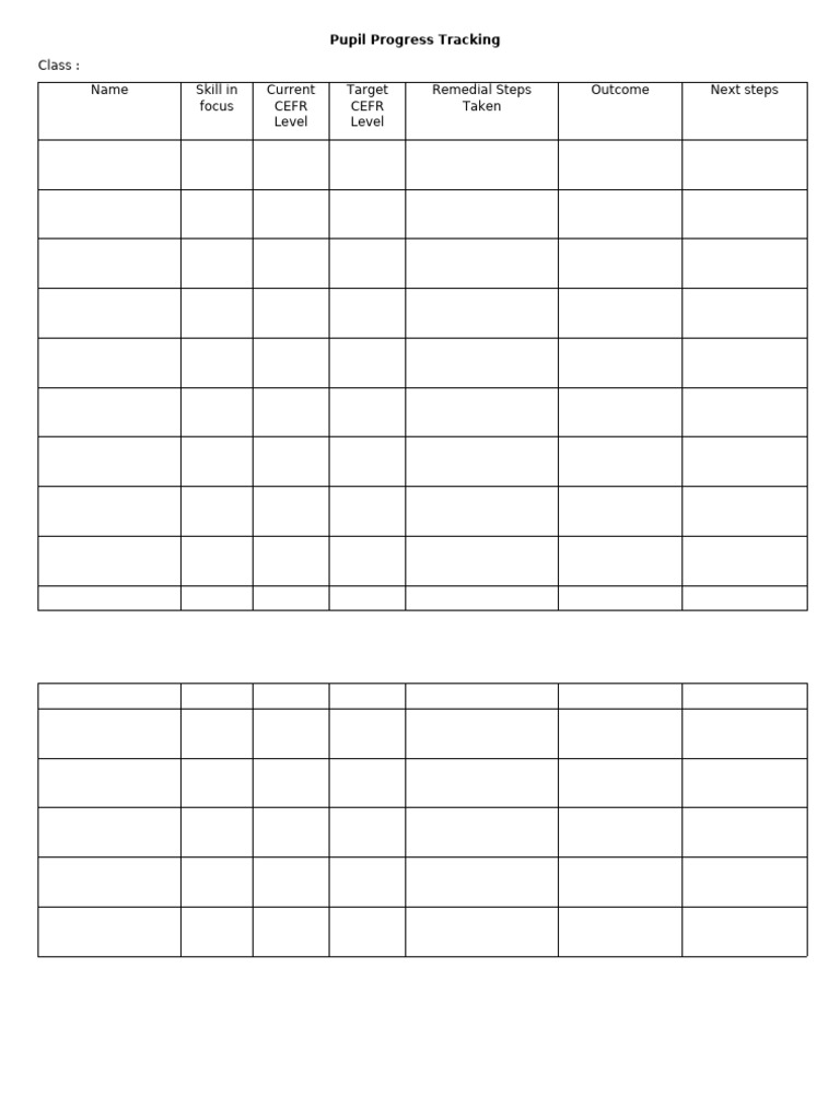 Pupil Progress Tracking | PDF