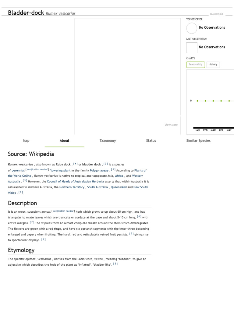 Bladder-Dock (Rumex Vesicarius) Inaturalist Guatemala | PDF | Plants | Botany
